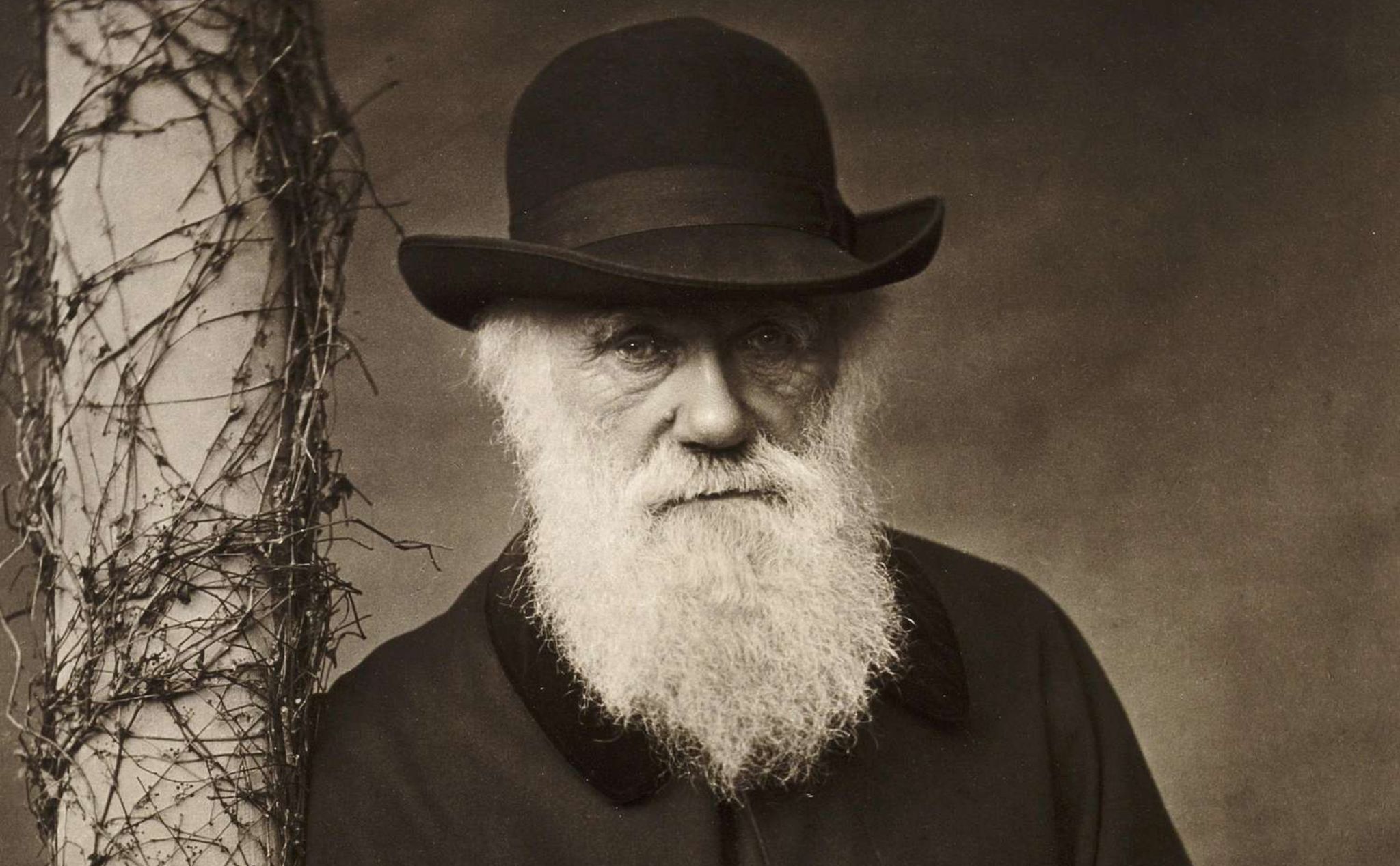 Khi Đức tin gặp Khoa học (Bài 2): Những bài học từ Galileo và Darwin ...